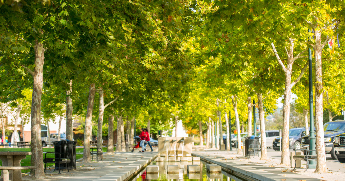 Live | Discover Windsor
